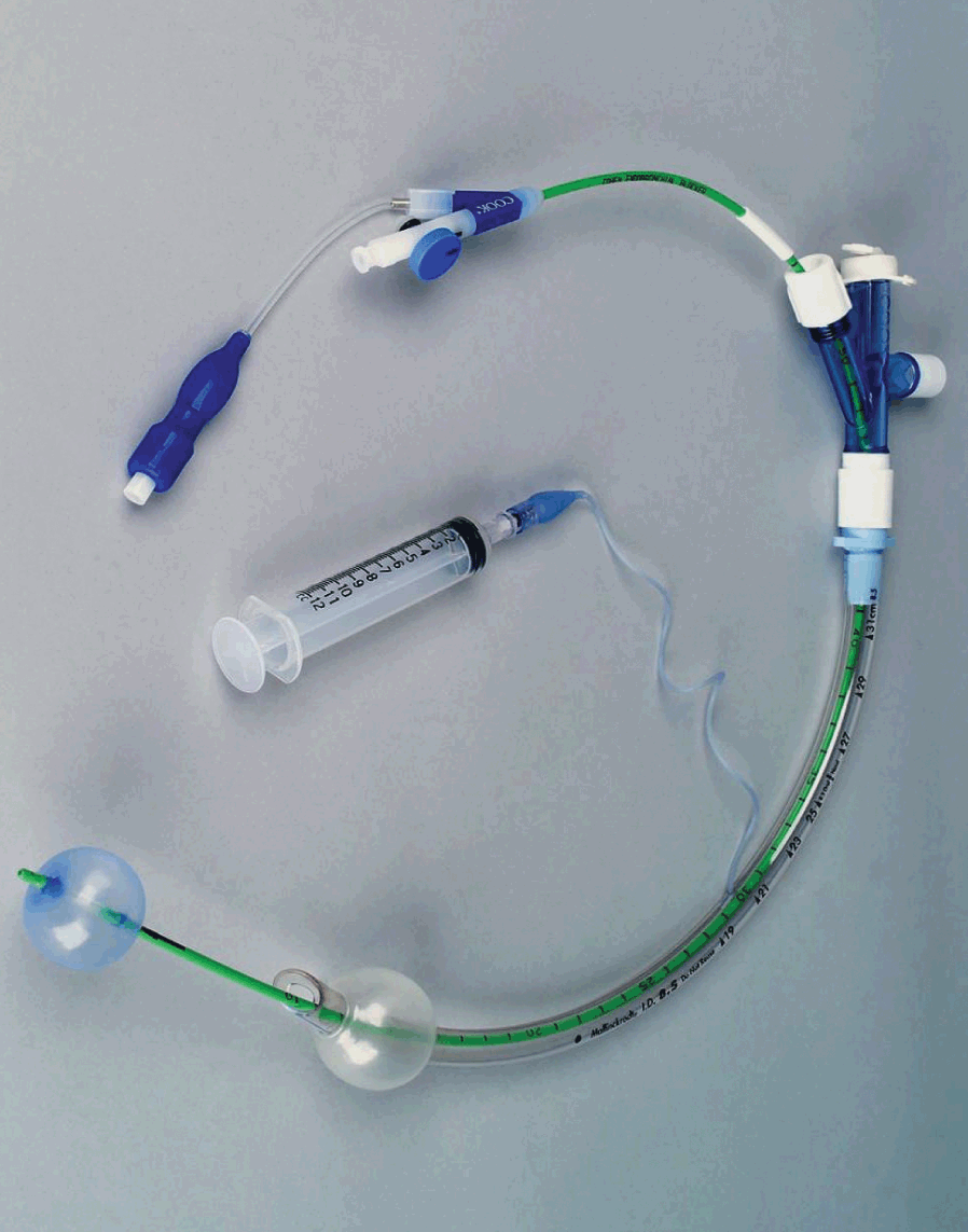 Chapter 27 – Lung Separation | Anesthesia Key