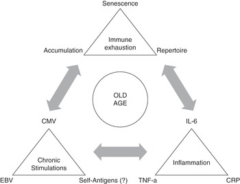Chapter 31 – Endocrine and Metabolic Response to Surgical Stress in the ...
