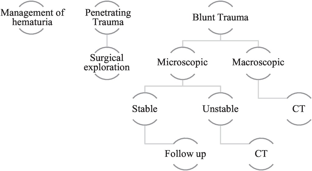 Chapter 16 – Genitourinary Trauma | Anesthesia Key