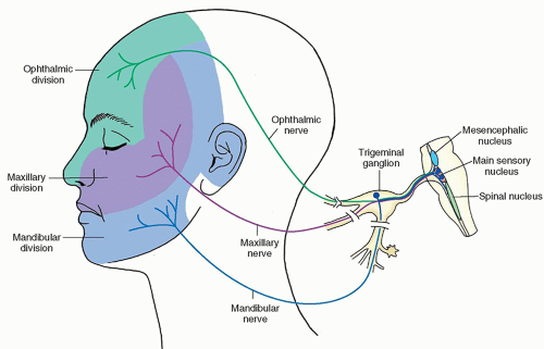 Herpes Zoster Ophthalmicus Anesthesia Key