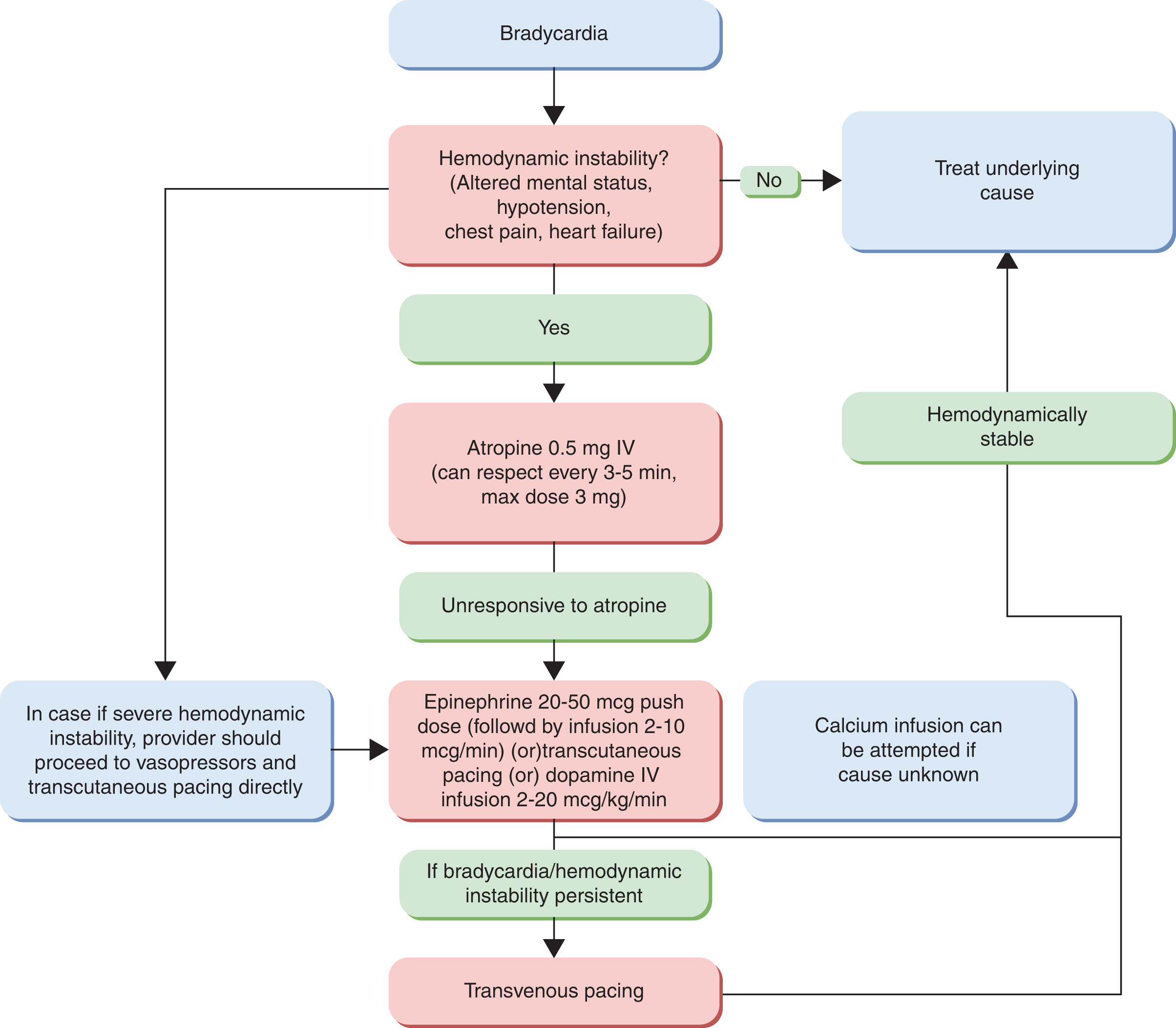 Bradycardia In A Patient With Atrial Fibrillation Anesthesia Key